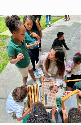 MIAMI BEE EXPERTS - Updated December 2025 - 22 Photos - Palmetto Bay ...