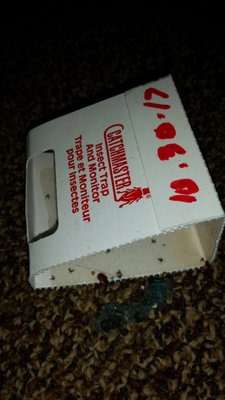 MARINA PEST CONTROL - Updated December 2025 - 22 Photos & 109 Reviews ...