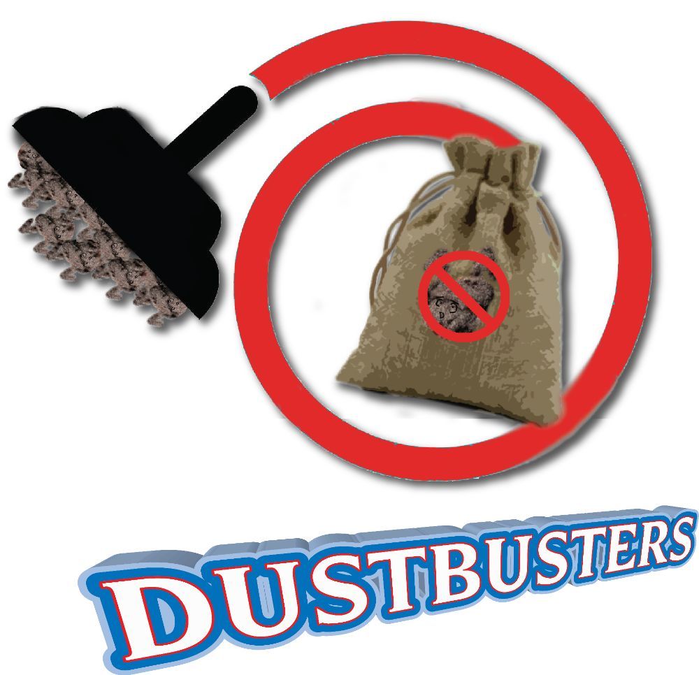 DUSTBUSTERS CLEANING - Request a Quote - 15 Photos - Darby ...