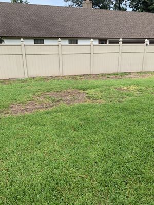 TRUGREEN LAWN CARE - Updated July 2024 - 34 Photos & 74 Reviews - 60 ...