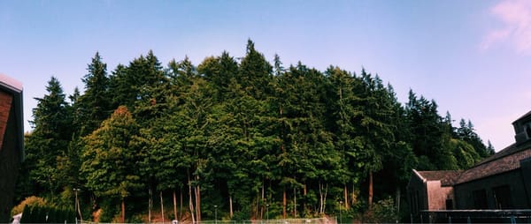 WESTERN WASHINGTON UNIVERSITY - Updated October 2025 - 76 Photos & 38 ...