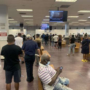 Springfield Gardens Dmv Office Queens Ny 11434 | Fasci Garden