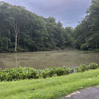 ASHBY POND PARK - Updated August 2025 - 62 Photos - 9817 Ashby Rd ...