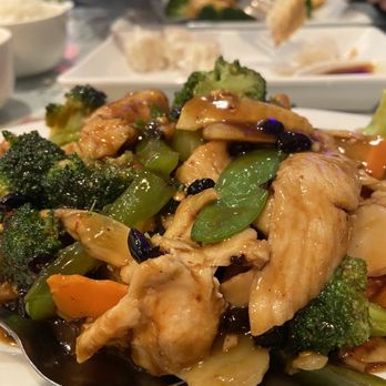 HONG KONG CITY - Updated December 2025 - 66 Photos & 81 Reviews - 5106 ...