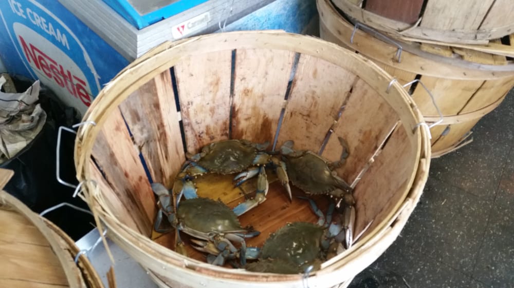 CRABDADDYS - Updated August 2025 - 16 Reviews - 6910 Cobbs Crk Pwky ...