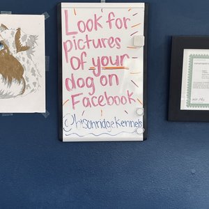 TESKE PET & GARDEN CENTER - Updated October 2025 - 19 Reviews - 2423 ...