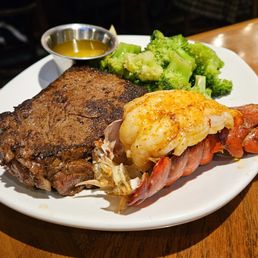 OUTBACK STEAKHOUSE - Updated December 2025 - 462 Photos & 496 Reviews ...