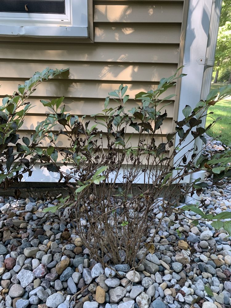 TONE SETTER - TS OUTDOOR SERVICES - Updated August 2025 - 53 Photos ...