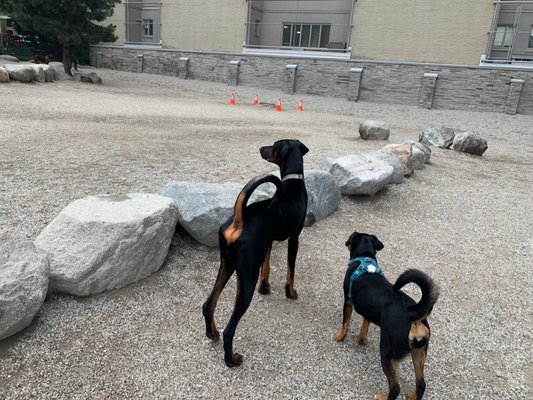 EMERY BARNES PARK - Updated September 2024 - 135 Photos & 27 Reviews ...