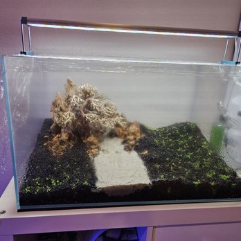 CK FISH WORLD - 401 Photos & 428 Reviews - 541 North Azusa Ave, West ...