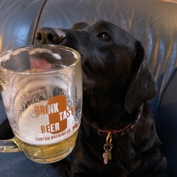 CARTON BREWING - Updated June 2024 - 221 Photos & 178 Reviews - 6 E ...