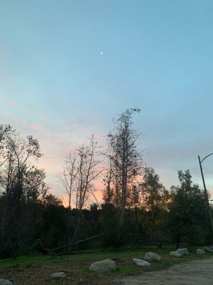 PASADENA ROVING ARCHERS - 182 Photos & 148 Reviews - 415 S Arroyo Blvd ...