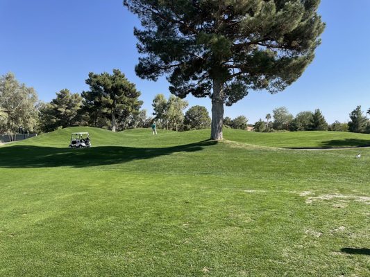 PAINTED DESERT GOLF CLUB - 46 Photos & 81 Reviews - 5555 Painted Mirage ...