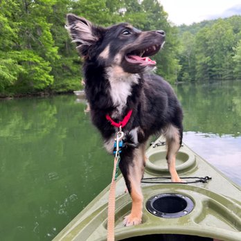 BLUE JAY FARM - Updated July 2025 - 10500 Circle Rd, Dixon, Missouri ...