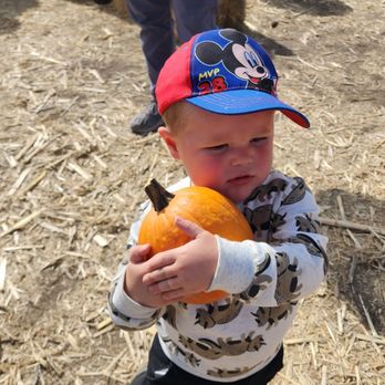 FERRARI FARMS - 145 Photos & 55 Reviews - 4701 Mill St, Reno, Nevada ...