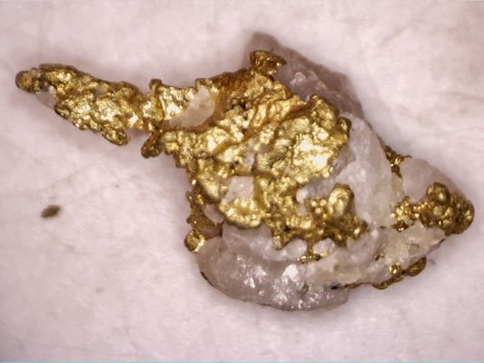 CALIFORNIA GOLD PANNING - Updated October 2024 - 92 Photos & 90 Reviews ...