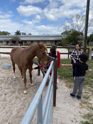 DAVIE RANCH - 98 Photos & 37 Reviews - 5600 SW 61st Ave, Davie, FL - Yelp