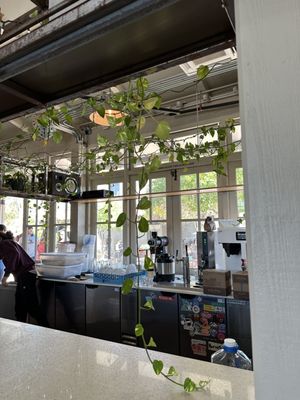 PRESTA COFFEE ROASTERS - 304 Photos & 209 Reviews - 100 S Avenida Del ...