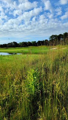COLONIAL SPRINGS GOLF CLUB - Updated September 2024 - 85 Photos & 10 ...