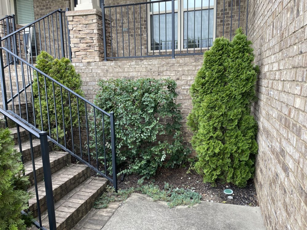 MARTIN’S LAWN CARE - Updated April 2026 - 36 Photos - Huntsville ...