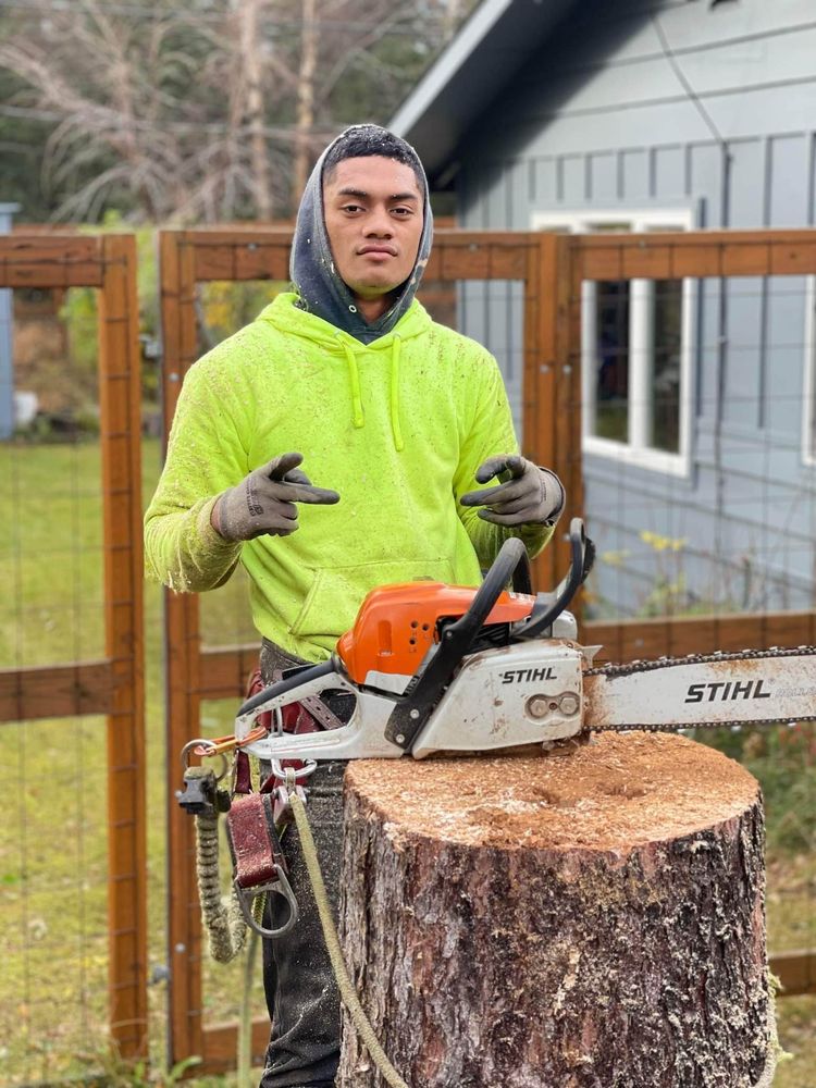 FAITH & LOYAL TREE SERVICE - Updated October 2025 - 19 Photos - 901 E ...