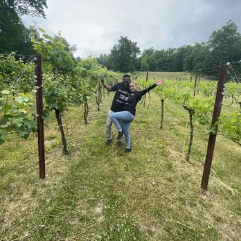 CLEARVIEW VINEYARD - Updated January 2026 - 127 Photos & 113 Reviews ...