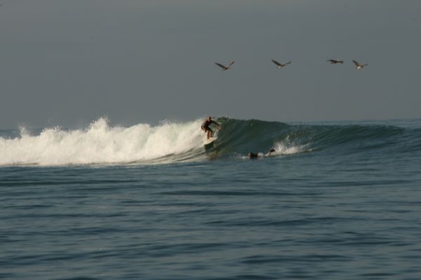 ANTHONY BORDAS ,DDS - Updated December 2025 - 17 Photos & 100 Reviews ...