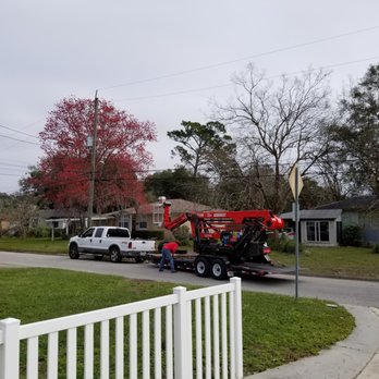 AMERICAN TREE SURGEONS - Updated May 2025 - 60 Photos - 2555 County Rd ...