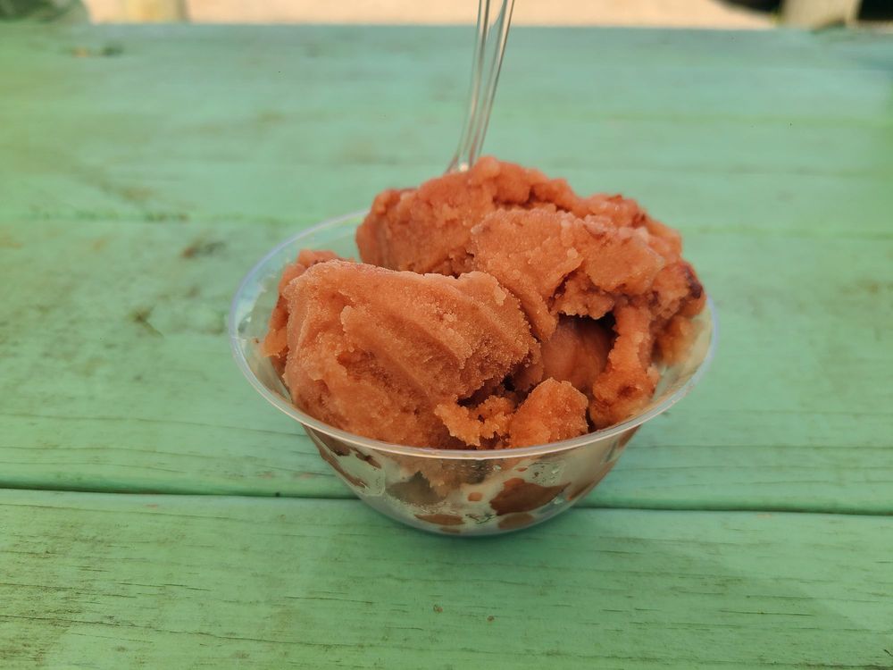 EMMY’S ITALIAN ICE AND CUSTARD - Updated August 2025 - 18500 Palm Beach ...