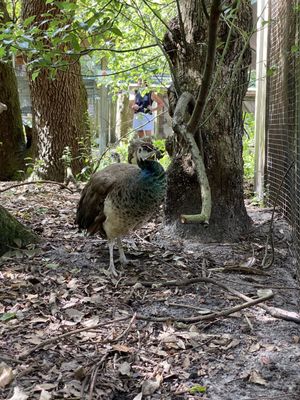 UNCLE DONALD’S FARM - Updated October 2025 - 17 Photos & 12 Reviews ...