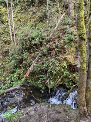 DICKERSON CREEK WATERFALL - 76 Photos & 20 Reviews - Leber Ln NW ...