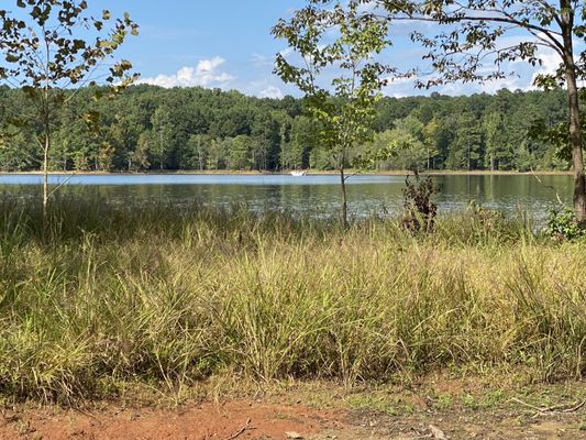 FOREST RIDGE PARK - Updated July 2025 - 33 Photos & 12 Reviews - 2100 ...