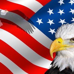 BATTERY GIANT - Updated January 2026 - 37 Photos & 19 Reviews - 1178 ...