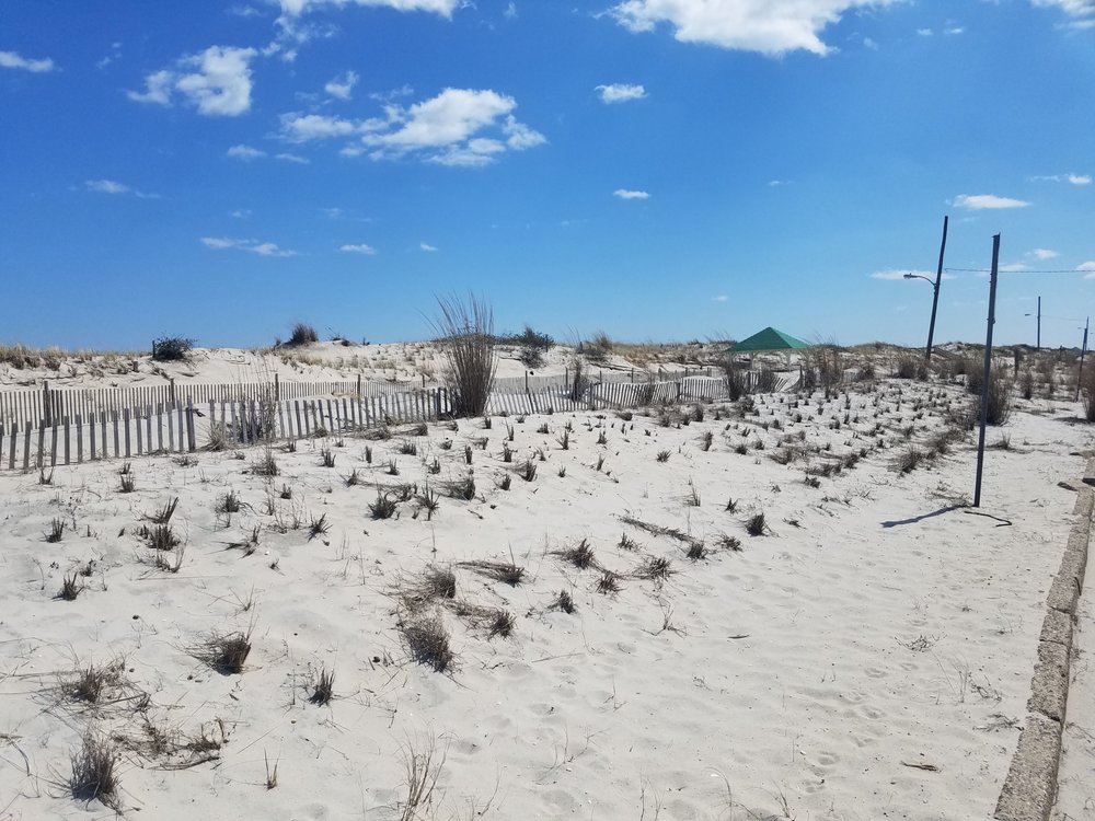 TONY LIPARI - KELLER WILLIAMS REALTY OCEAN LIVING - 14 Photos - 1513 ...