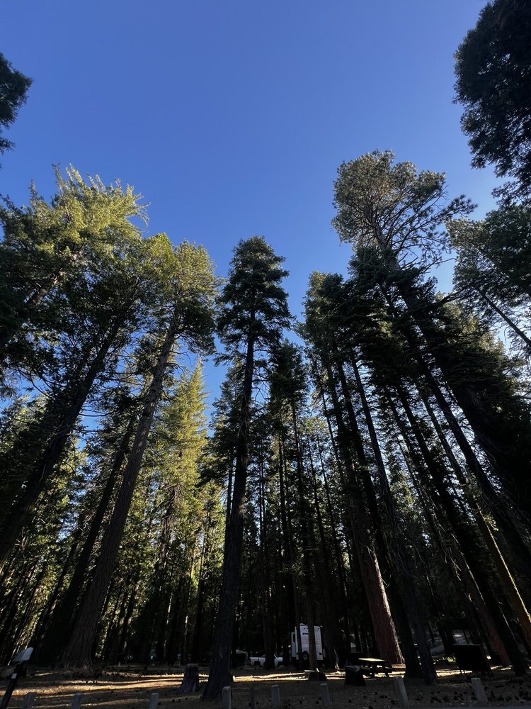 MEADOWVIEW CAMPGROUND - Updated December 2025 - 17 Photos - Dodge Ridge ...