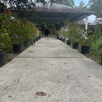 TREE TOPS PARK - Updated February 2025 - 808 Photos & 126 Reviews ...