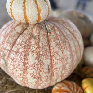 KIRBY FAMILY FARM - Updated June 2025 - 16 Photos & 20 Reviews - 19630 ...