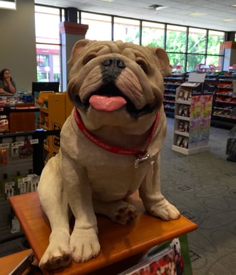 UNIVERSITY OF GEORGIA BOOKSTORE - Updated April 2026 - 13 Photos - 40 ...