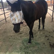 TRAK - THERAPEUTIC RANCH FOR ANIMALS AND KIDS - 49 Photos - 3250 E ...