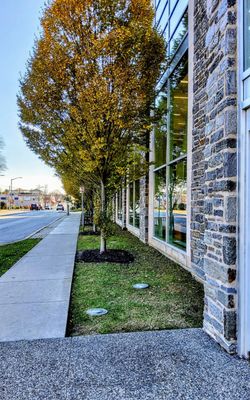 LUDINGTON LIBRARY - Updated April 2025 - 139 Photos & 28 Reviews - 5 S ...