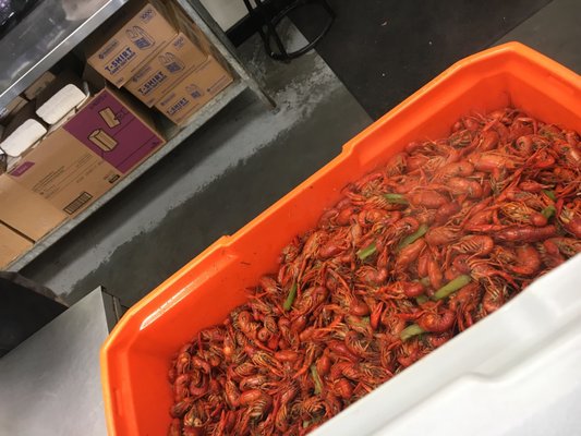 DAT CAJUN SEAFOOD - Updated July 2024 - 58 Photos & 38 Reviews - 3020 ...
