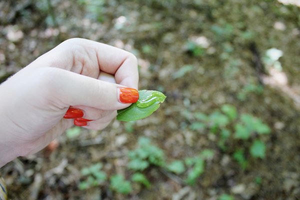 NO TASTE LIKE HOME - Updated July 2025 - 79 Photos & 56 Reviews ...