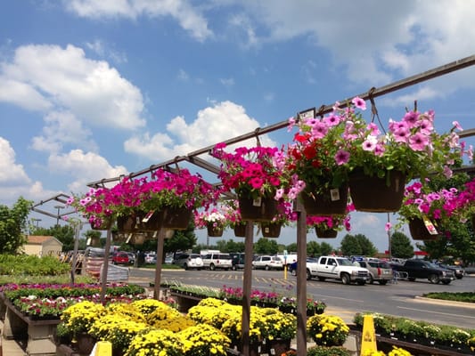 LOWE’S HOME IMPROVEMENT - Updated October 2025 - 10 Photos - 26 Reviews ...