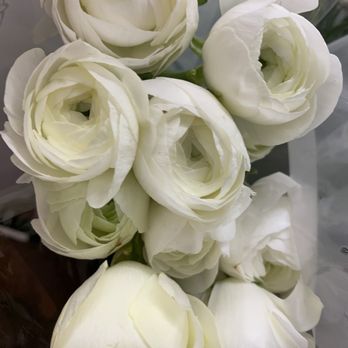 OAKLAND FLOWER MARKET - Updated February 2026 - 348 Photos & 130 ...
