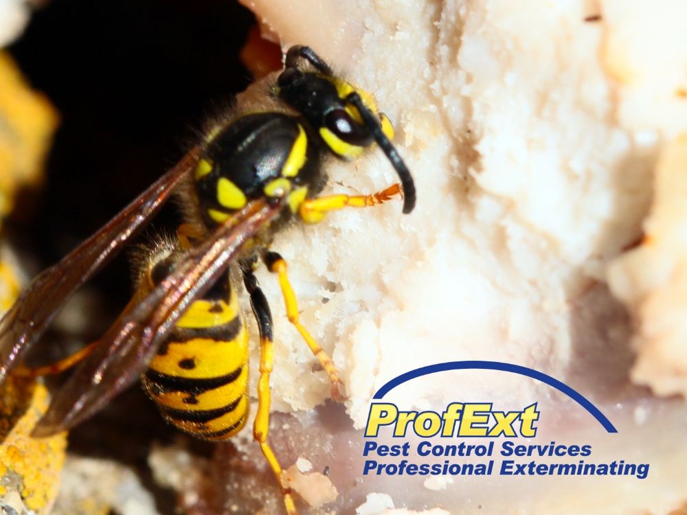 PROFEXT PEST CONTROL - 2000 Post Rd, Fairfield, Connecticut - Pest ...