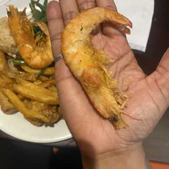 BUFFETOPIA - Updated July 2025 - 147 Photos & 77 Reviews - 9930 Farm to ...