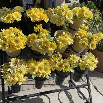 YELLOW VASE - Updated August 2024 - 855 Photos & 505 Reviews - 31248 ...