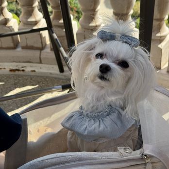 180BLU - Updated November 2025 - 703 Photos & 287 Reviews - 1 Ritz ...