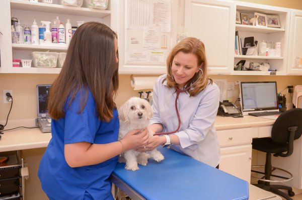 BUTLER VETERINARY HOSPITAL - Updated September 2025 - 11 Photos & 14 ...