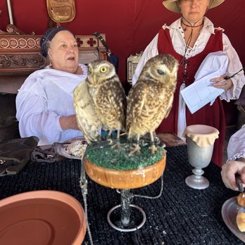 KORONEBURG OLD WORLD FESTIVAL - Updated August 2025 - 275 Photos & 94 ...